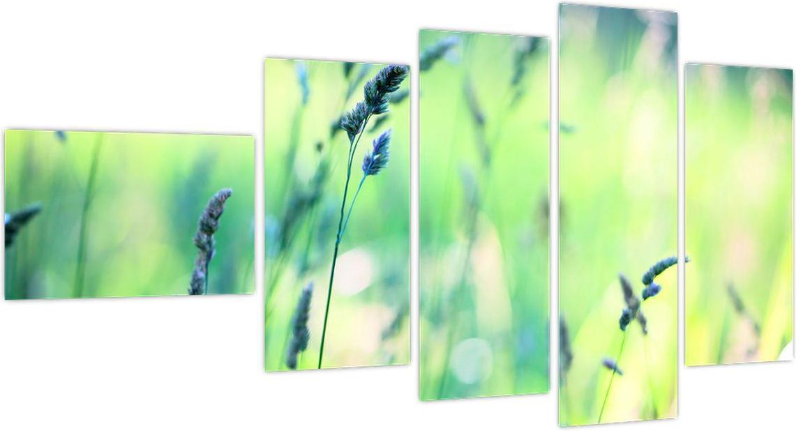 Domali Obraz Szczegół łąki, pięcioczęściowy 110x60 cm (161992) - Opinie ...