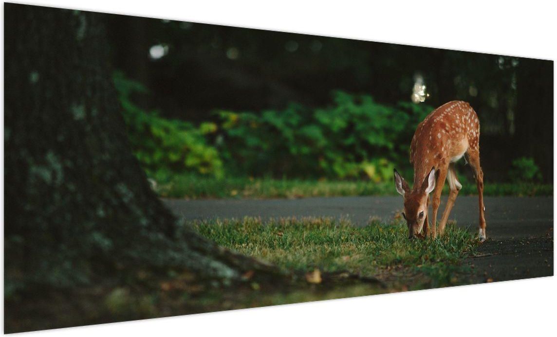 Domali Wizerunek jelonka, jednoczęściowy 250x125 cm (146134) - Opinie i ...