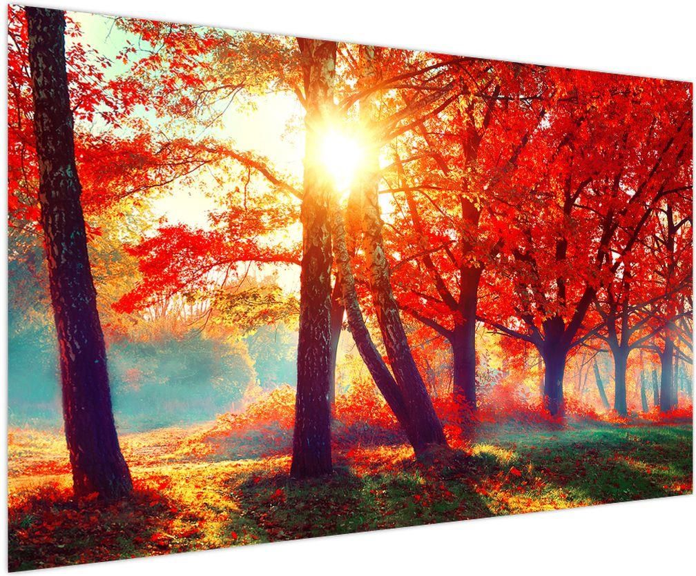 Domali Obraz- Jesienny krajobraz, jednoczęściowy 150x100 cm (151631 ...