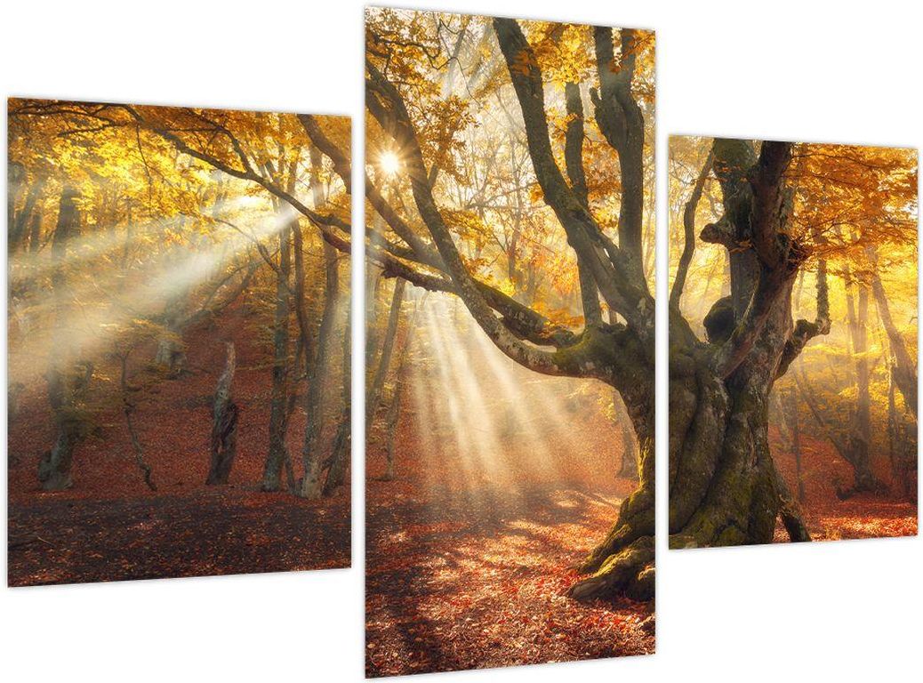 Domali Obraz Jesienny świt, tryptyk 90x60 cm (164068) - Opinie i ...