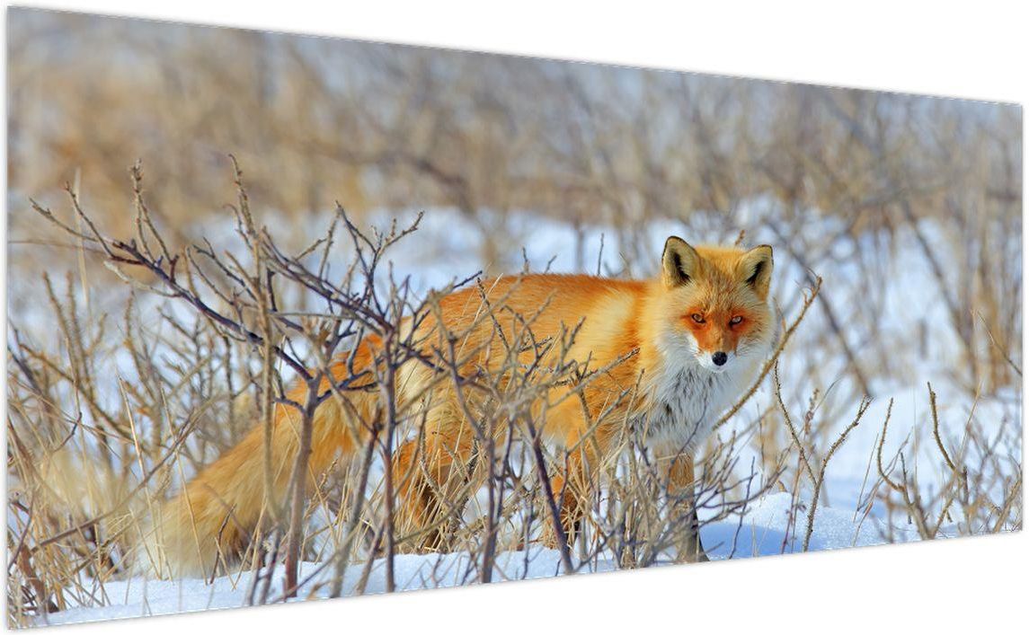 Domali Obraz Lis, jednoczęściowy 200x100 cm (164219) - Opinie i ...