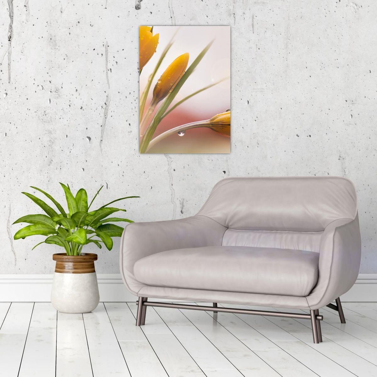 Domali Obraz Wiosenne kwiaty, jednoczęściowy 50x70 cm (164524) - Opinie ...