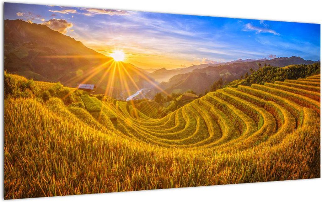 Domali Obraz na szkle Pole ryżowe w Wietnamie, jednoczęściowy 100x50 cm ...