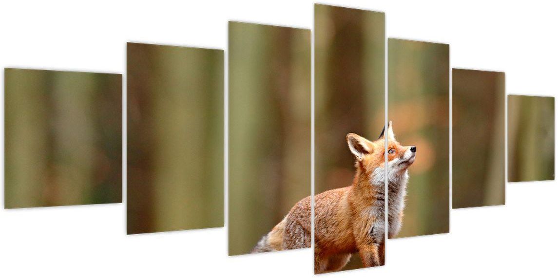Domali Obraz Lis, siedmioczęściowy 210x100 cm (165805) - Opinie i ...