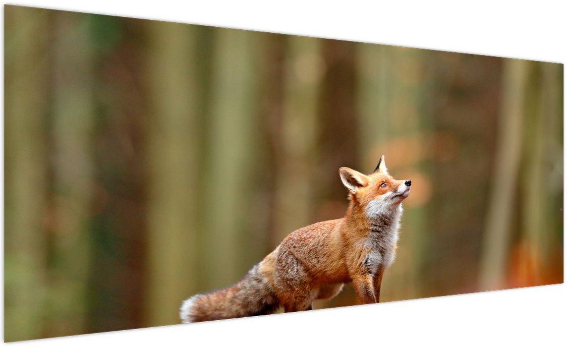 Domali Obraz Lis, jednoczęściowy 250x125 cm (165806) - Opinie i ...