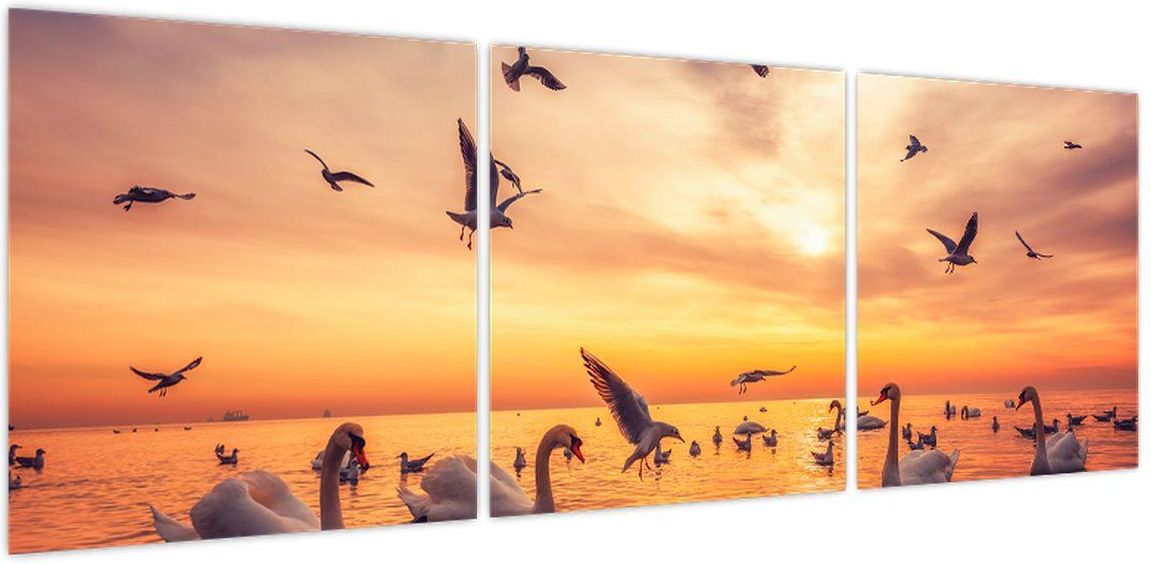 Domali Obraz Łabędzie, tryptyk 120x40 cm (166184) - Opinie i atrakcyjne ...