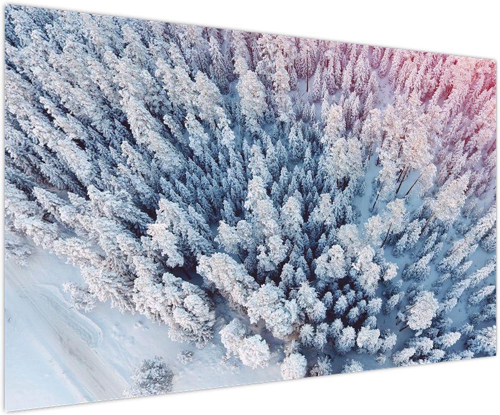 Domali Obraz ośnieżonych drzew, jednoczęściowy 150x100 cm (148481 ...