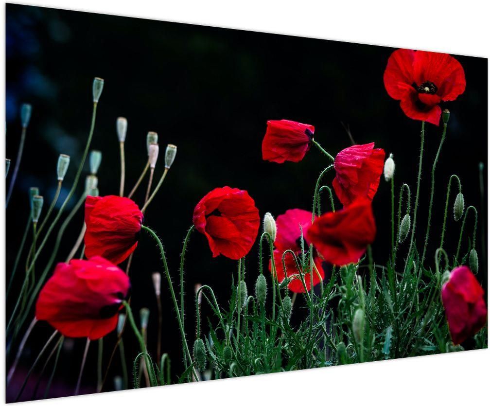 Domali Obraz Taniec maków, jednoczęściowy 150x100 cm (149726) - Opinie ...