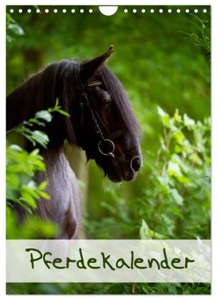 Pferdekalender (Wandkalender 2024 DIN A4 hoch), CALVENDO Monatskalender ...