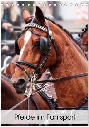 Pferde im Fahrsport (Tischkalender 2024 DIN A5 hoch), CALVENDO Monatskalender - Ceny i opinie ...
