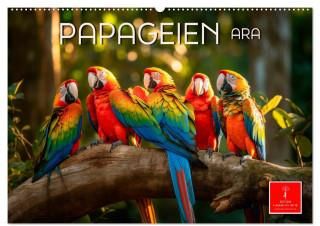 Papageien - Ara (Wandkalender 2024 DIN A2 quer), CALVENDO ...