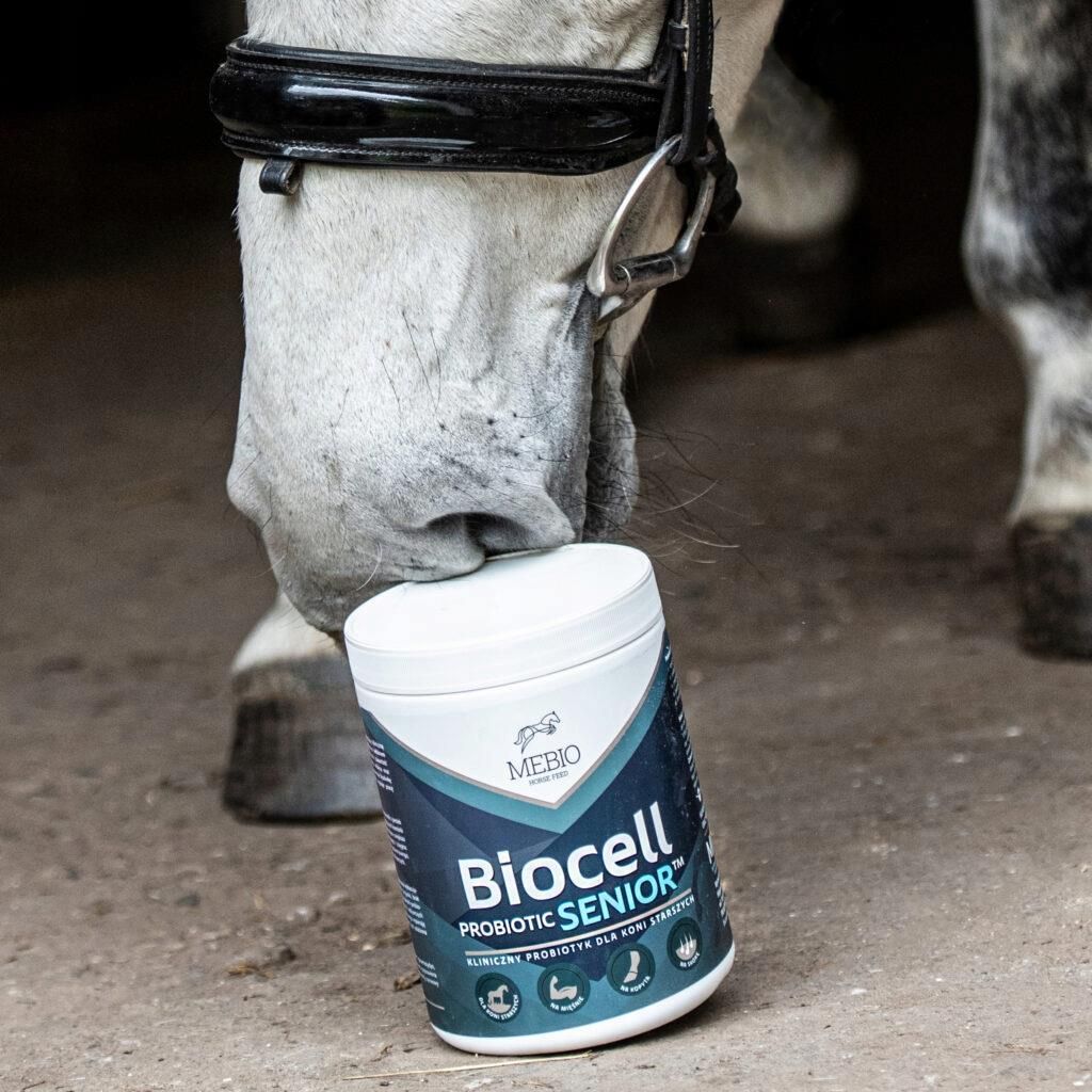 Suplement Mebio Biocell Probiotic Senior 1Kg - Ceny i opinie - Ceneo.pl