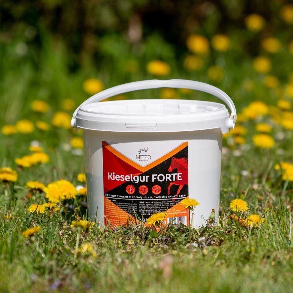 Mebio Kieselgur Forte 3 Kg, Aktywny Krzem Na Stawy - Ceny i opinie - Ceneo.pl