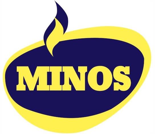 Minos Pasta Stała Do Nagrobków I Kamienia 4X240G - Ceny i opinie - Ceneo.pl