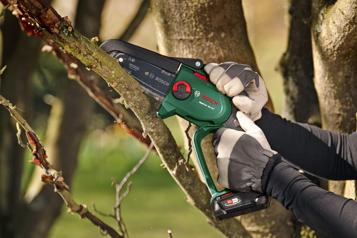 Piła lańcuchowa Bosch EasyChain 18V-15-7 1 akumulator 2,5Ah 06008B8900 - Ceny i opinie - Ceneo.pl