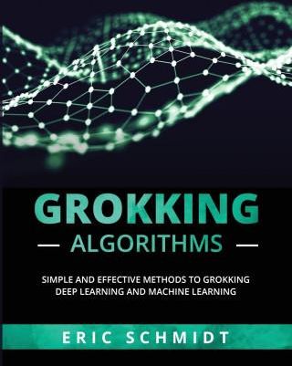 GROKKING ALGORITHMS - Literatura obcojęzyczna - Ceny i opinie - Ceneo.pl