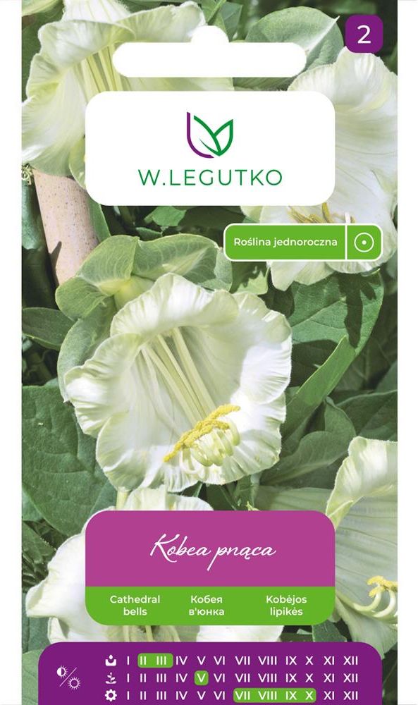 W. Legutko Kobea Pnąca Biała 6 Nasion - Ceny i opinie - Ceneo.pl