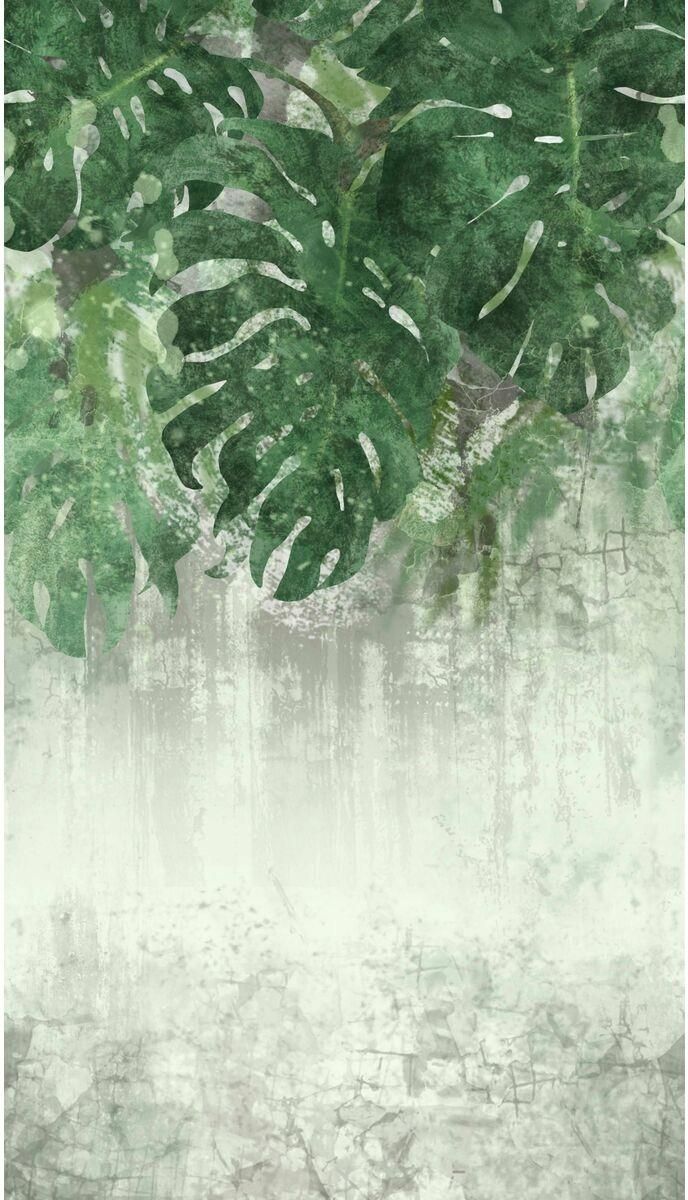 Rasch Tapeta Panoramiczna Monstera 159x280 - Opinie i ceny na Ceneo.pl