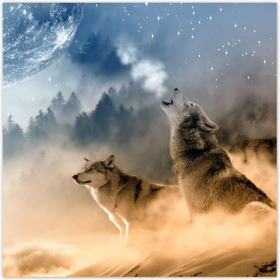 Zesmakiem 312X312 Wilk Wyjący Do Księżyca - Opinie i ceny na Ceneo.pl