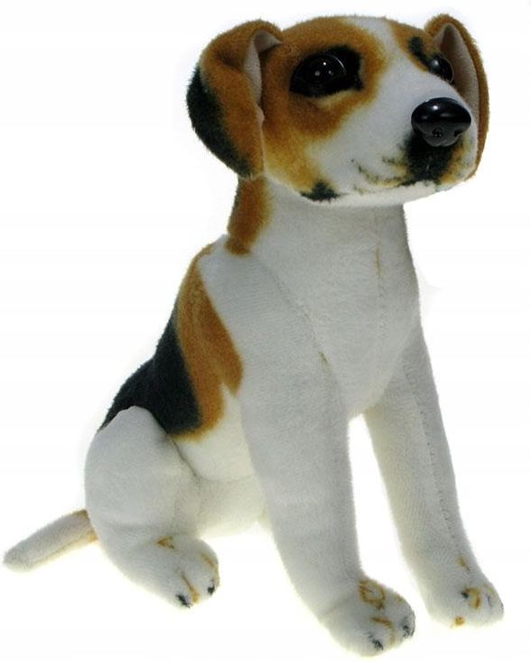 Deef Rasa Beagle Pies Maskotka Pluszowy Piesek - Ceny i opinie - Ceneo.pl