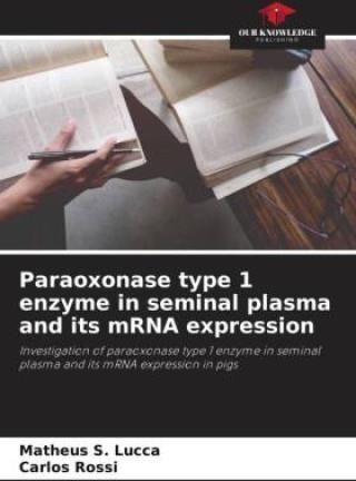 Paraoxonase type 1 enzyme in seminal plasma and its mRNA expression ...