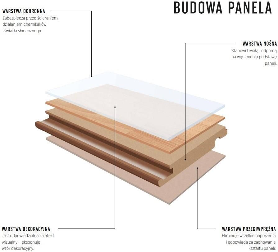 Panele Laminowane Vox Dąb Lino Ac5 8mm Querra Magna Plus WR 06449 ...