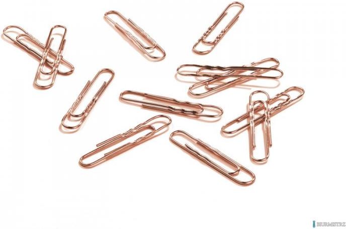 Spinacz 50Mm (100)Pokryty Miedzią 121224 - Ceny i opinie - Ceneo.pl