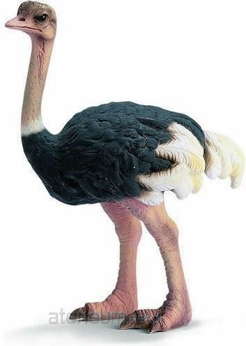 Schleich Figurka Struś - Ceny i opinie - Ceneo.pl