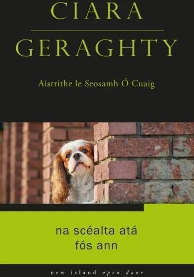 Na Scealta Ata Fos Ann Geraghty, Ciara - Literatura obcojęzyczna - Ceny ...