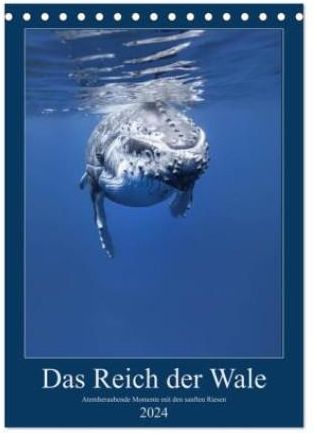 Im Reich der Wale (Tischkalender 2024 DIN A5 hoch), CALVENDO Monatskalender - Ceny i opinie ...