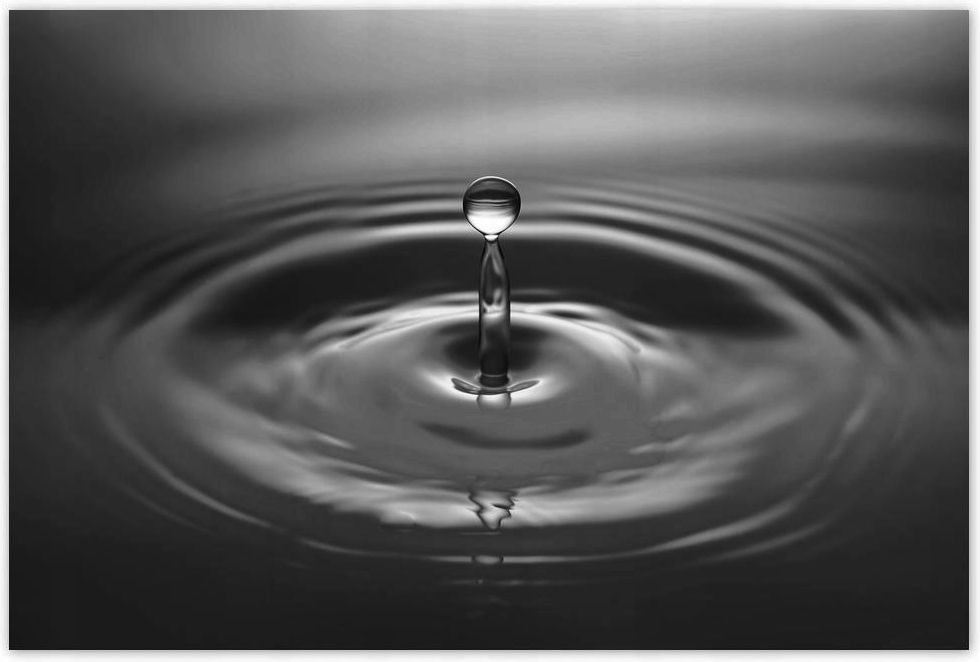 ZeSmakiem Kropla Prawdy Kropelka - Opinie i ceny na Ceneo.pl