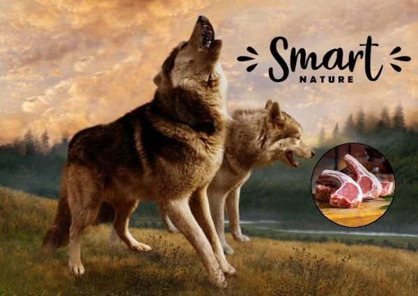 Karma Smart Nature Pies Jagnięcina Bez Kurczaka Sucha Karma Dla Psa ...