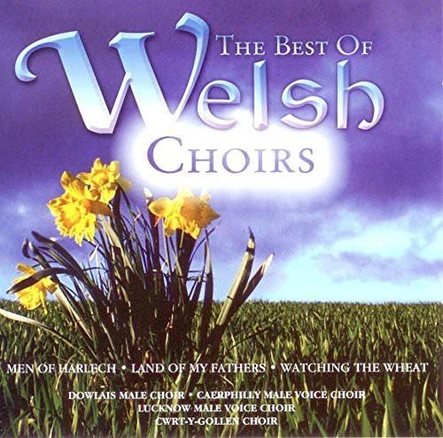 Płyta kompaktowa Diverse Chöre - Best of Welsh Choirs (CD) - Ceny i ...