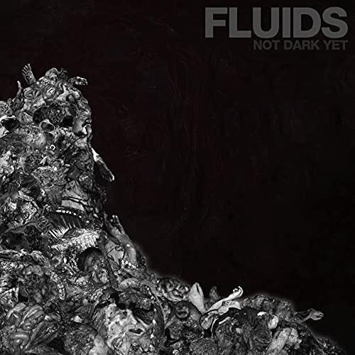 Płyta kompaktowa Fluids & Not Dark Yet - Fluids-Not Dark Yet (CD ...