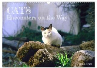 Cats - Encounters on the Way (Wall Calendar 2024 DIN A3 landscape ...