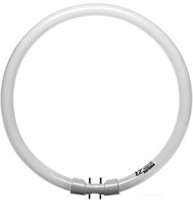 Lumileds Philips Lighting Świetlówka Master Tl5 Circular 22W830 1Ct ...