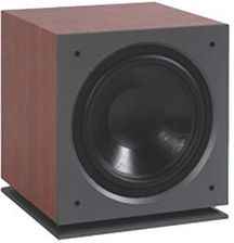 Dali Concept Sub - Opinie i ceny na Ceneo.pl