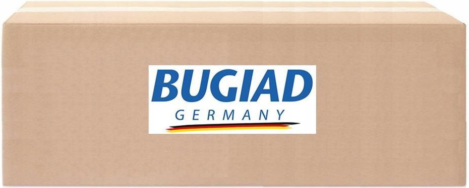 Kolektor Bugiad Bsp25487 Kolektor Układ Wydechowy - Opinie i ceny na ...