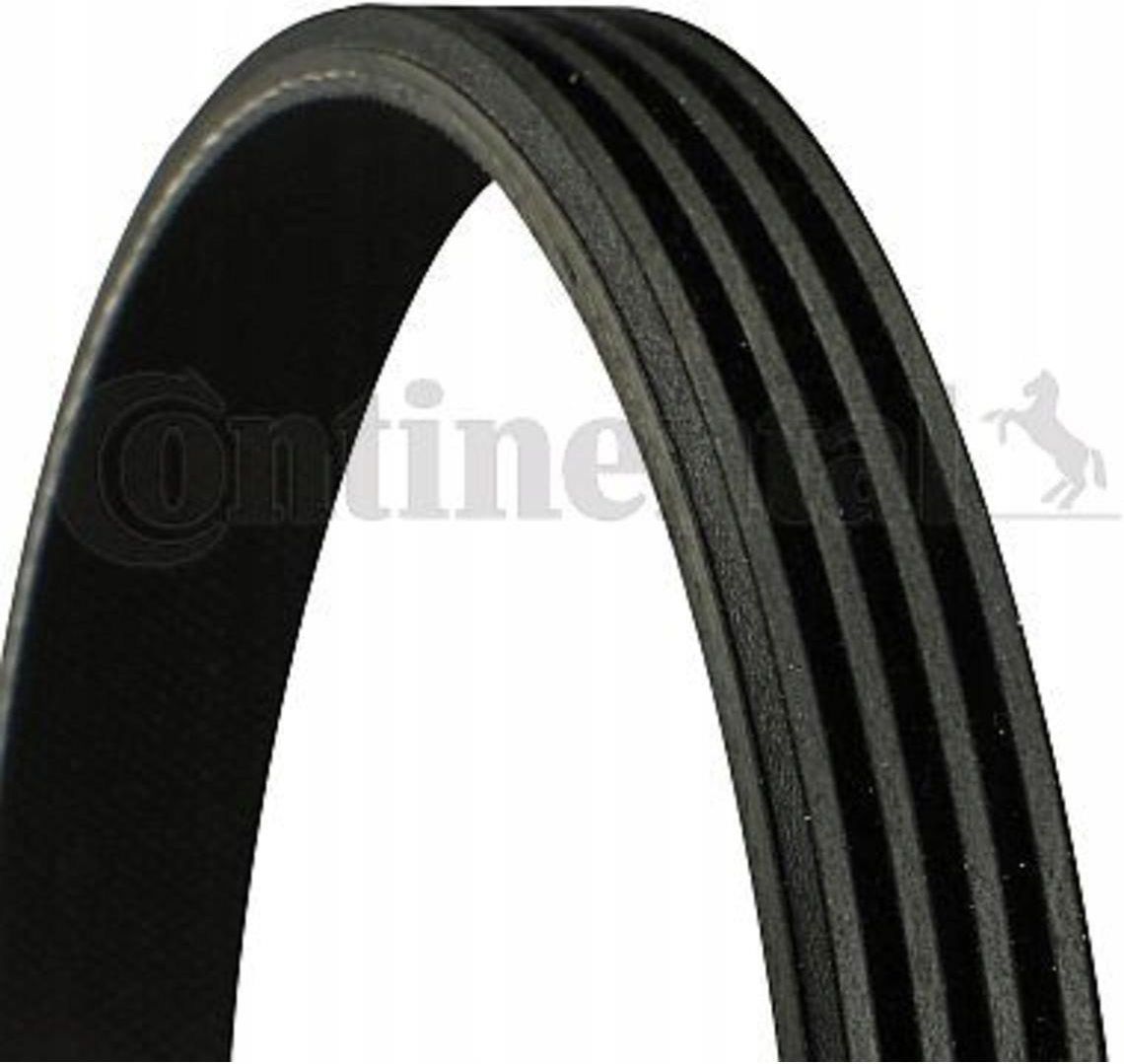 Contitech Pasek Wieloklinowy 4Pk925 Kia - Opinie i ceny na Ceneo.pl