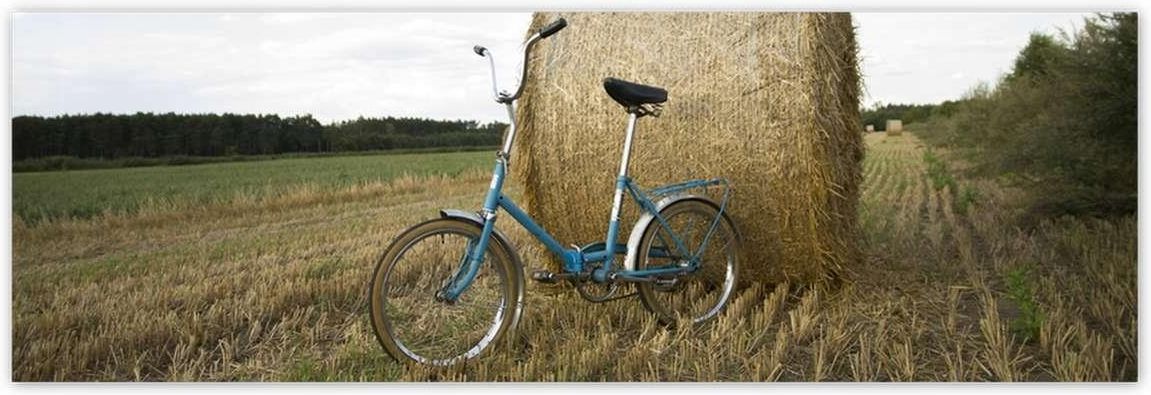 ZeSmakiem 200x66 Wigry 3 Prl Rower Romet - Opinie i ceny na Ceneo.pl