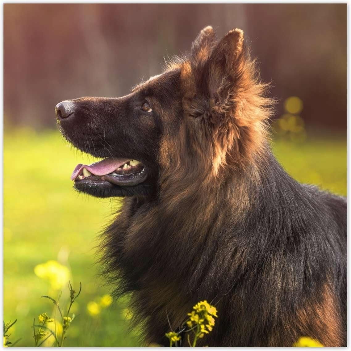 ZeSmakiem 312x312 Wesoły Przyjaciel Wilczur - Opinie i ceny na Ceneo.pl