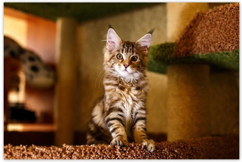 ZeSmakiem Co Ja Pacze? - Opinie i ceny na Ceneo.pl