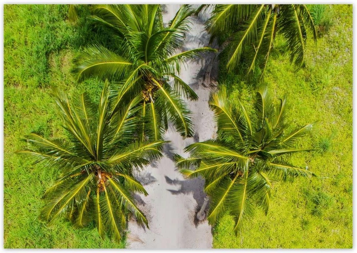 ZeSmakiem 312x219 Pejzaż Krajobraz Widoczek - Opinie i ceny na Ceneo.pl