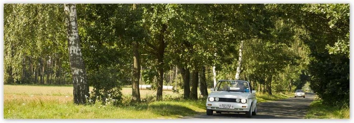 ZeSmakiem 312x104 Golf I 1 Volkswagen - Opinie i ceny na Ceneo.pl ZeSmakiem 312x104 Golf I 1 Volkswagen - Opinie i ceny na Ceneo.pl