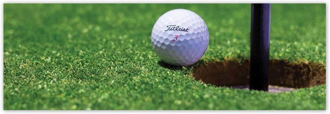 ZeSmakiem 312x104 Golf Gra W Golfa Piłeczka - Opinie i ceny na Ceneo.pl
