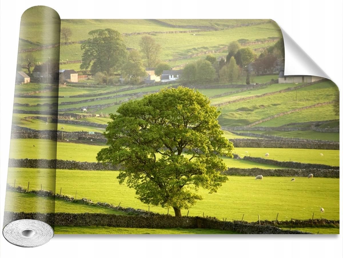 Coloray Anglia Derbyshire 152x104 - Opinie i ceny na Ceneo.pl