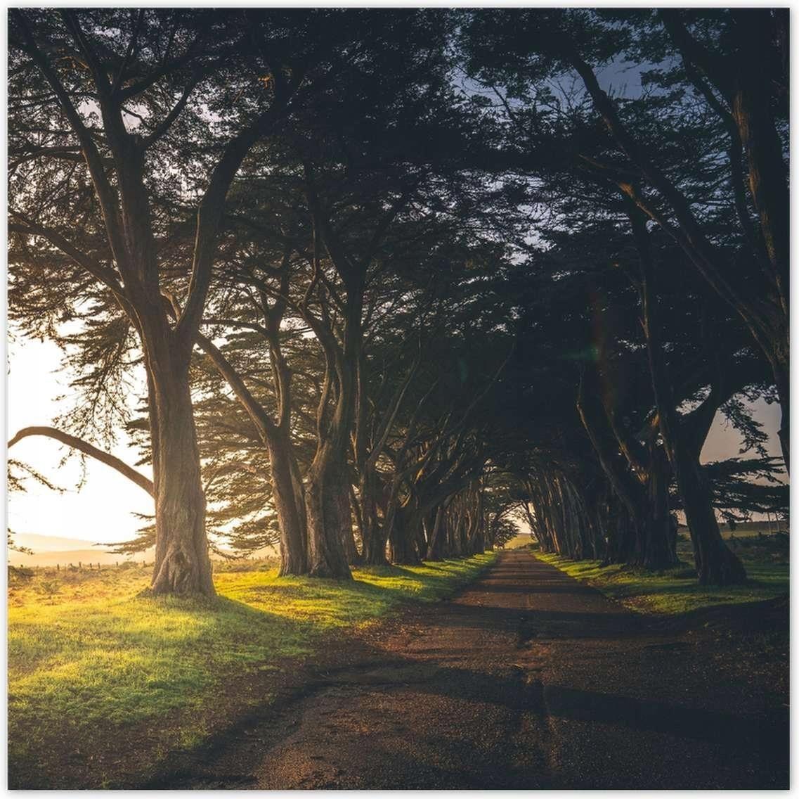 ZeSmakiem 312x312 Pejzaż Krajobraz Widoczek - Opinie i ceny na Ceneo.pl