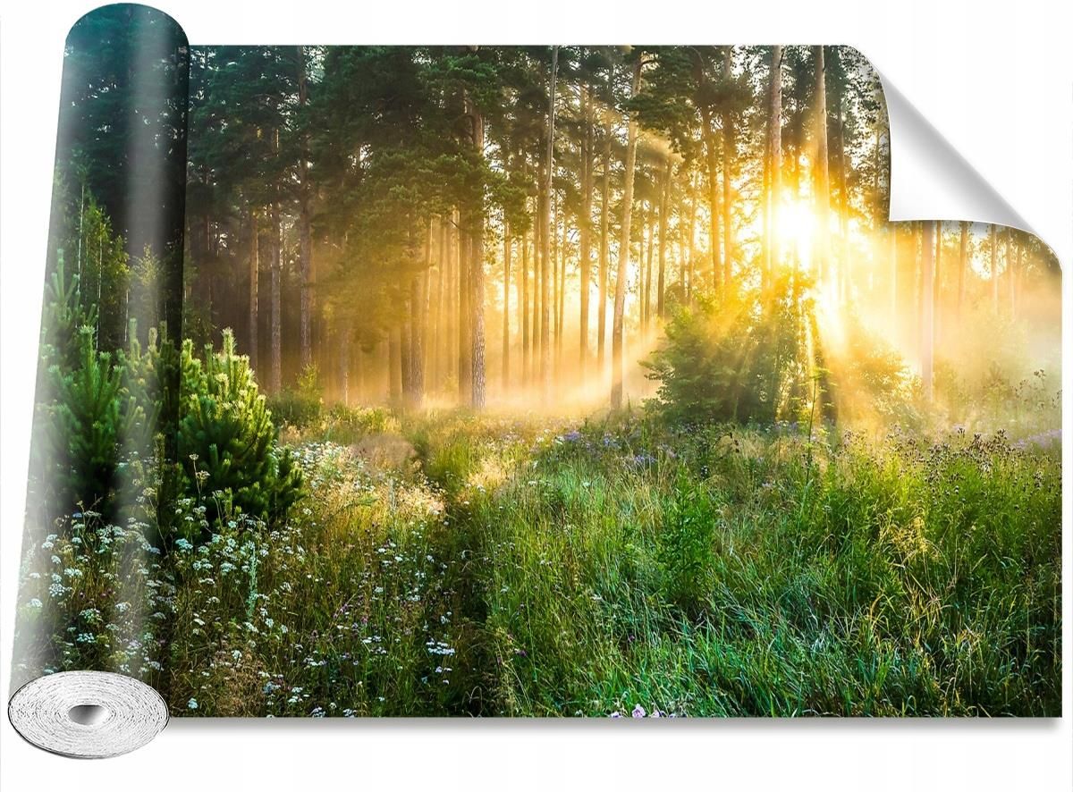 Coloray Peel & Stick Las 312x219 - Opinie i ceny na Ceneo.pl