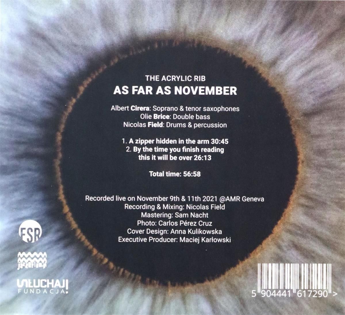 Płyta kompaktowa The Acrylic Rib - As far as November (CD) - Ceny i ...