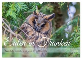 Eulen in Franken (Wandkalender 2024 DIN A3 quer), CALVENDO ...